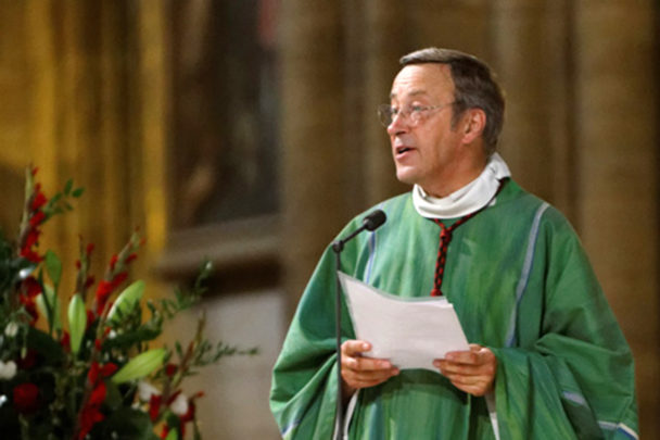 El último documental sobre Notre Dame: vista 360°, secretos revelados y ...