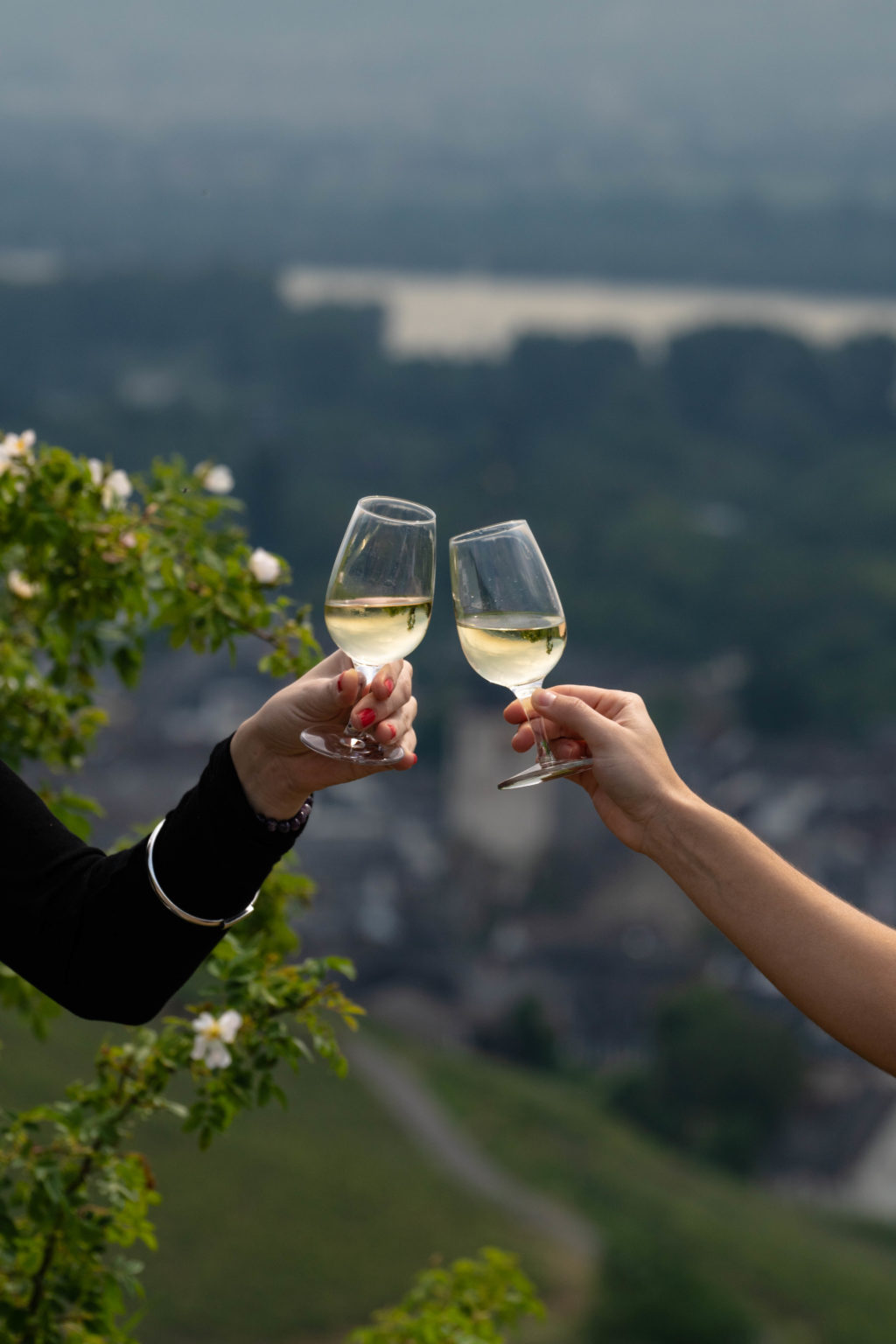 ᐉ Rüdesheim am Rhein: un pueblo encantado de Alemania ubicado entre ...