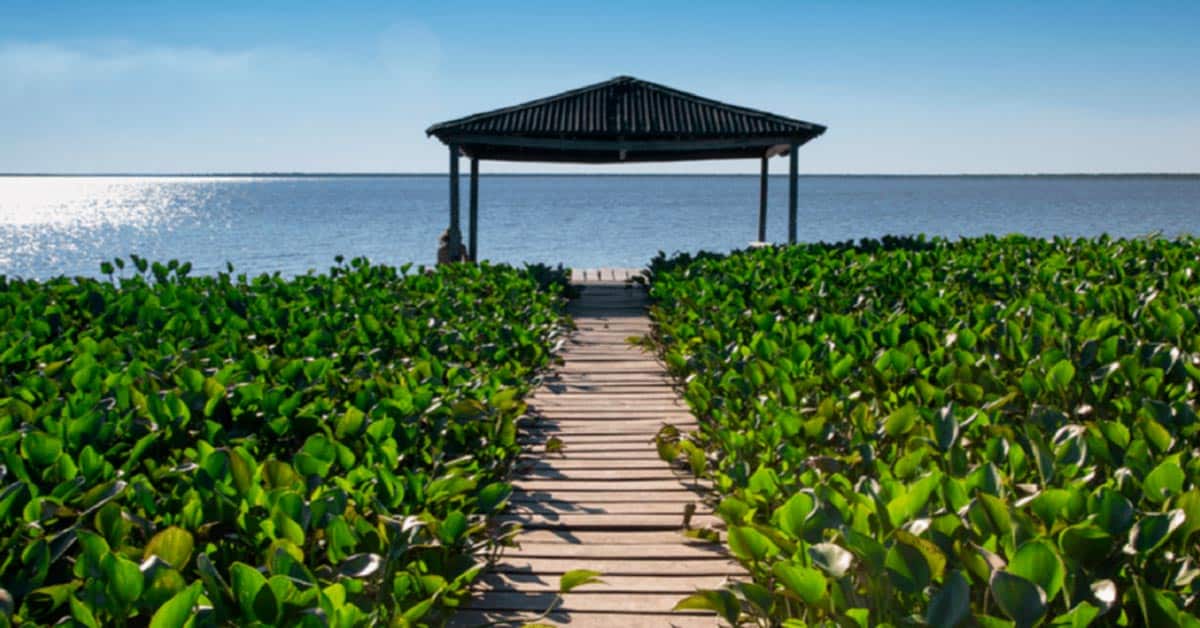 ᐉ Los 5 mejores Lugares para Conocer en Formosa » Intriper.