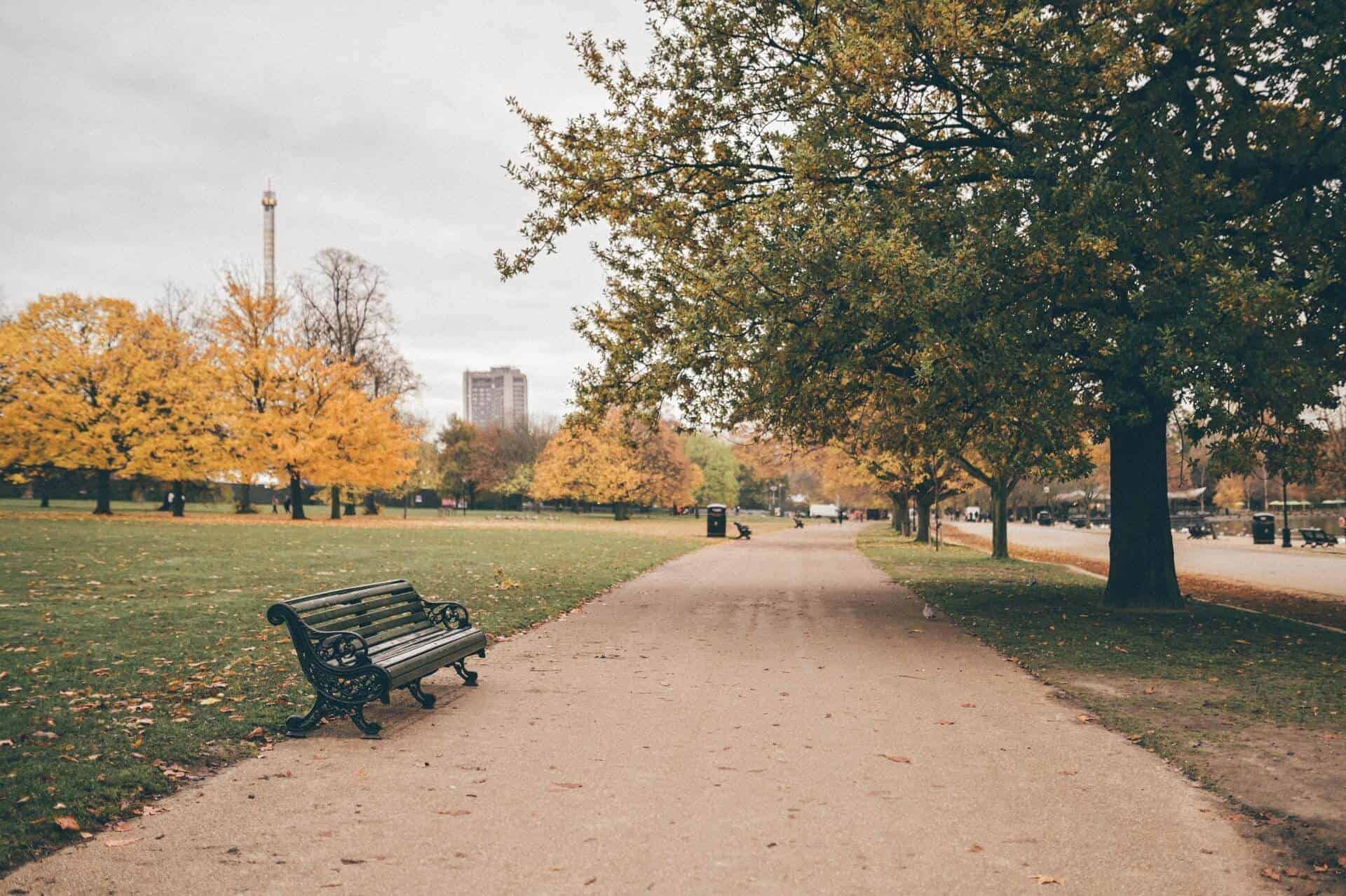ᐉ Los 8 Parques Urbanos más Grandes del Mundo » Intriper.