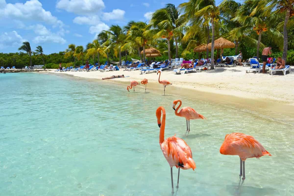 Las 5 mejores Playas de Aruba para conocer » Intriper