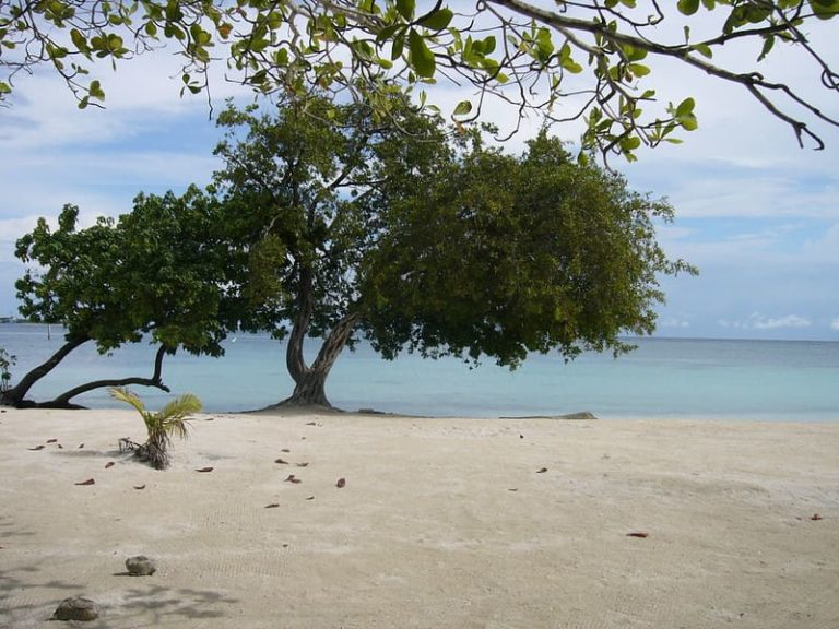 ᐉ 10 playas de Honduras que te encantarán » Intriper.
