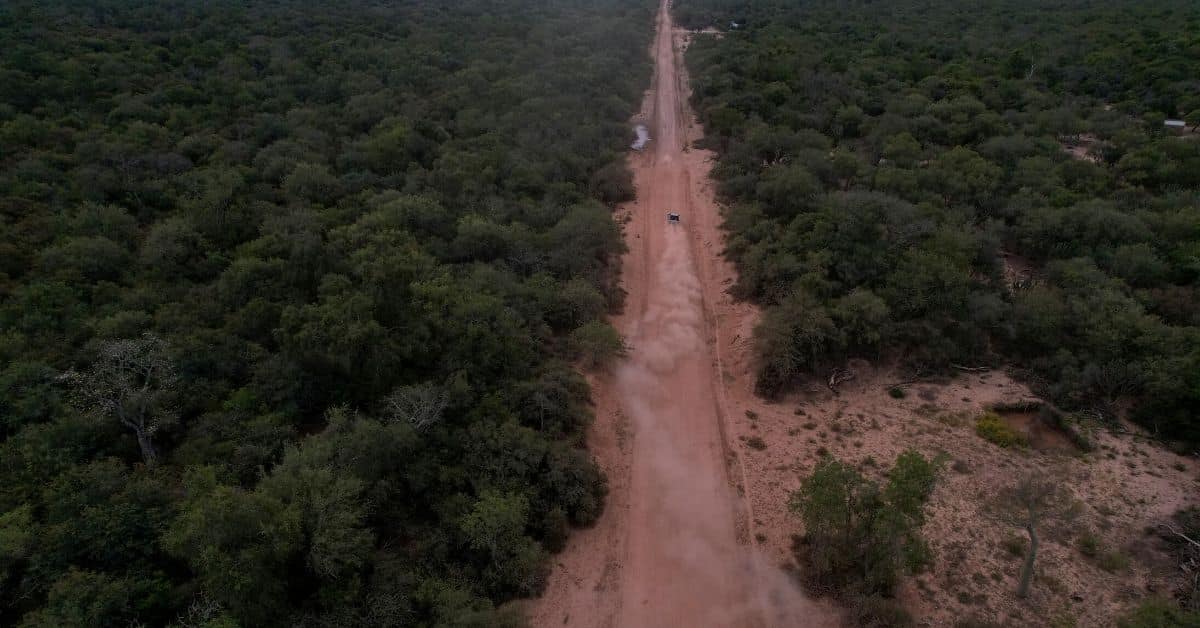 Cómo visitar el Parque Impenetrable en Chaco: opciones de alojamiento ...