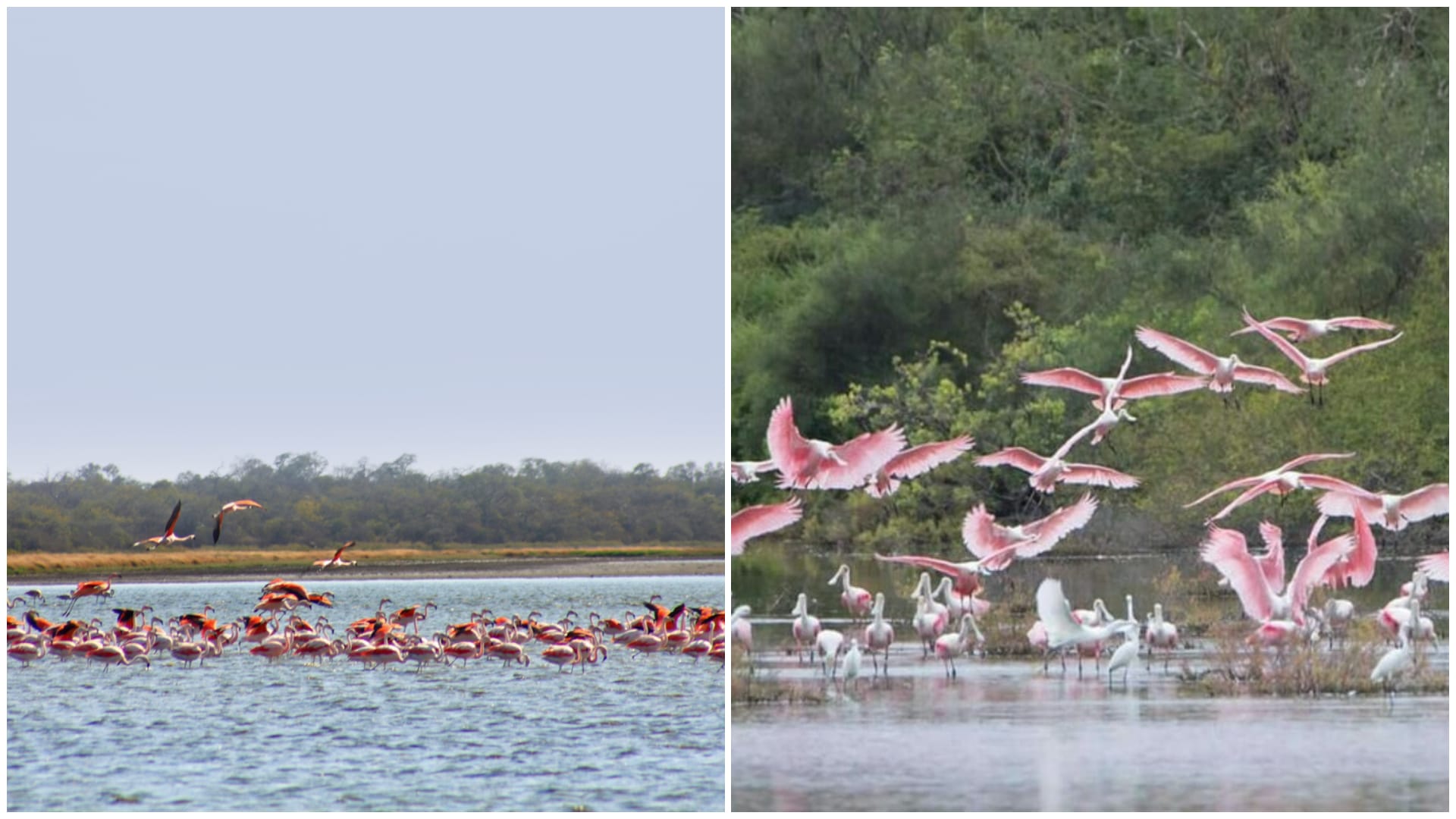 ᐉ 11 maravillas naturales de Paraguay » Intriper.
