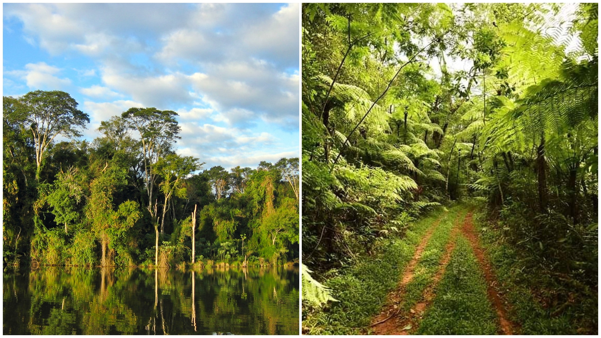 ᐉ 11 maravillas naturales de Paraguay » Intriper.