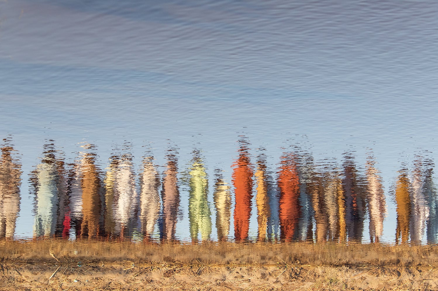 Las 73 fotos finalistas de WMO 2024 Calendar Competition
