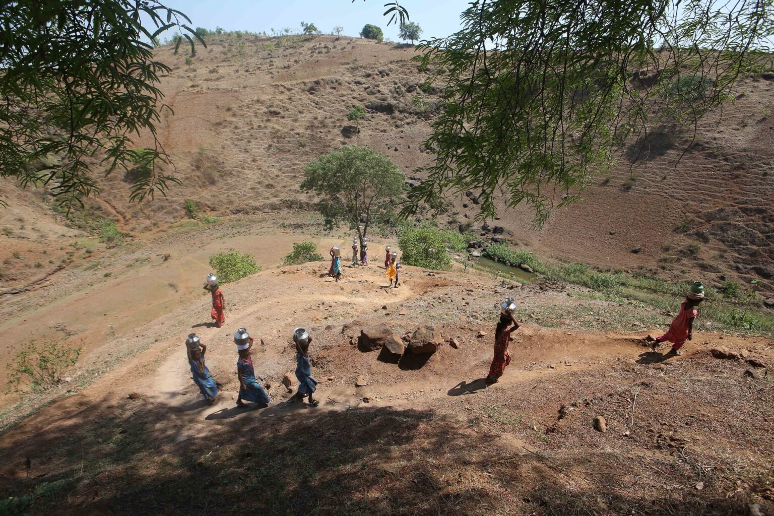 Las 73 fotos finalistas de WMO 2024 Calendar Competition