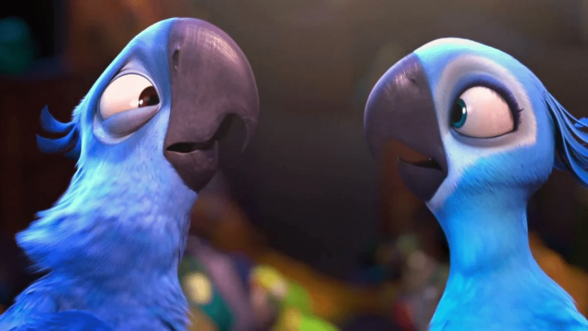 El Guacamayo de Spix, que inspiró la película "Río", se extingue de la ...
