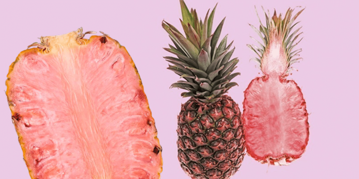Piña rosada: La revolucionaria fruta genéticamente modificada que está ...