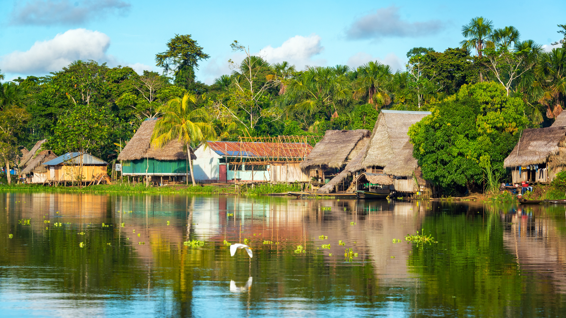 ᐉ Mejores sitios y actividades del Amazonas de Perú » Intriper.
