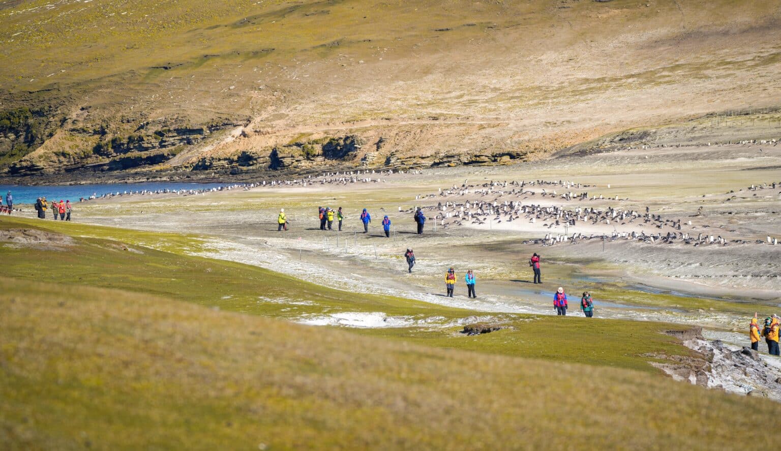 ᐉ Así es viajar a las Islas Malvinas a bordo crucero de expedición ...