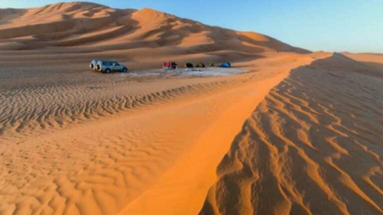 Los científicos no salen de su asombro: descubrieron que el desierto ...