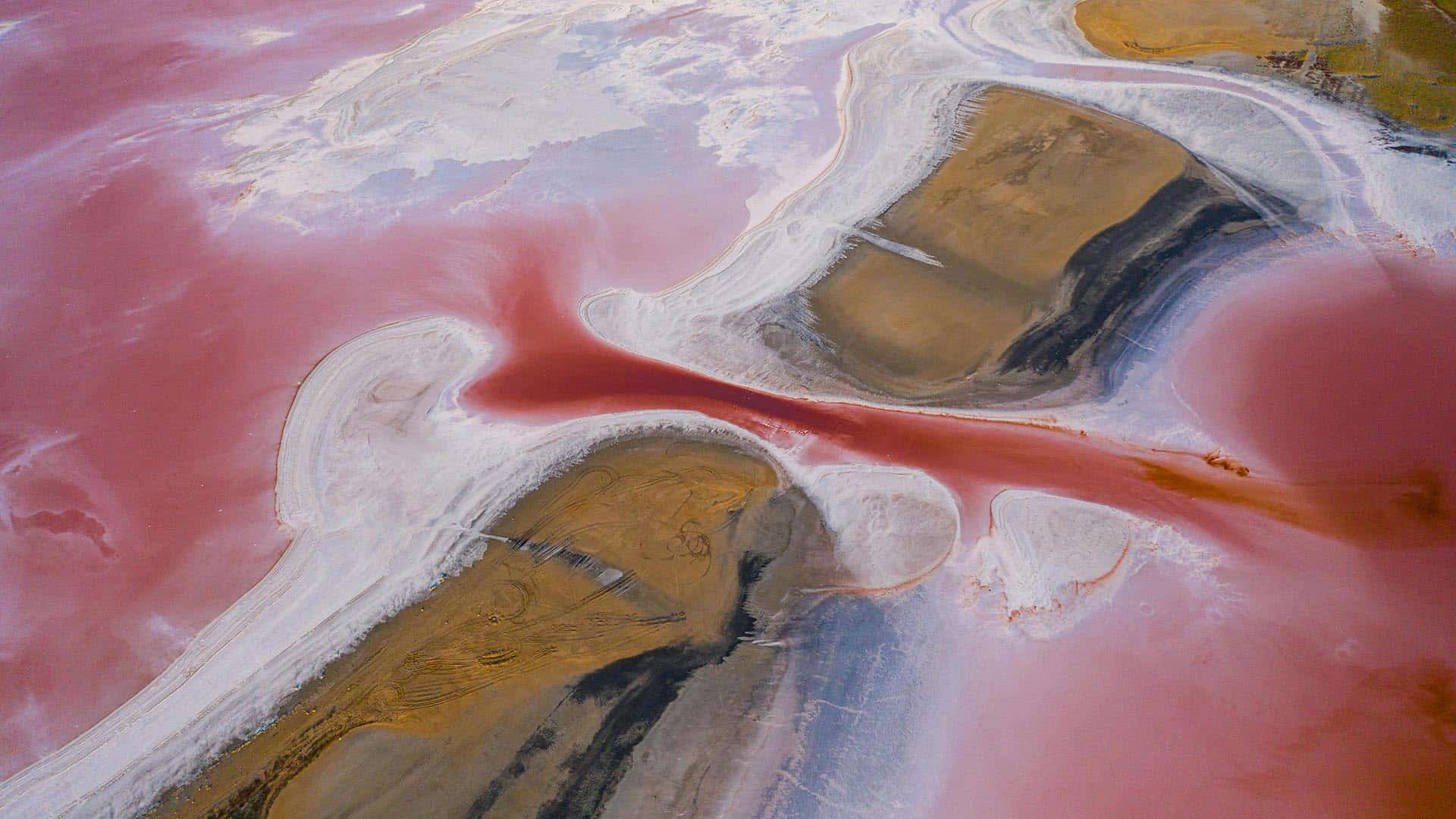 El lago Eyre quedó partido en dos colores opuestos tras lluvias ...