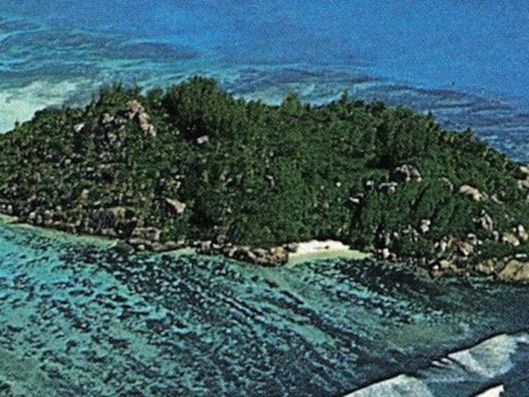 Compró una isla desierta, plantó 16.000 árboles y la transformó en un ...